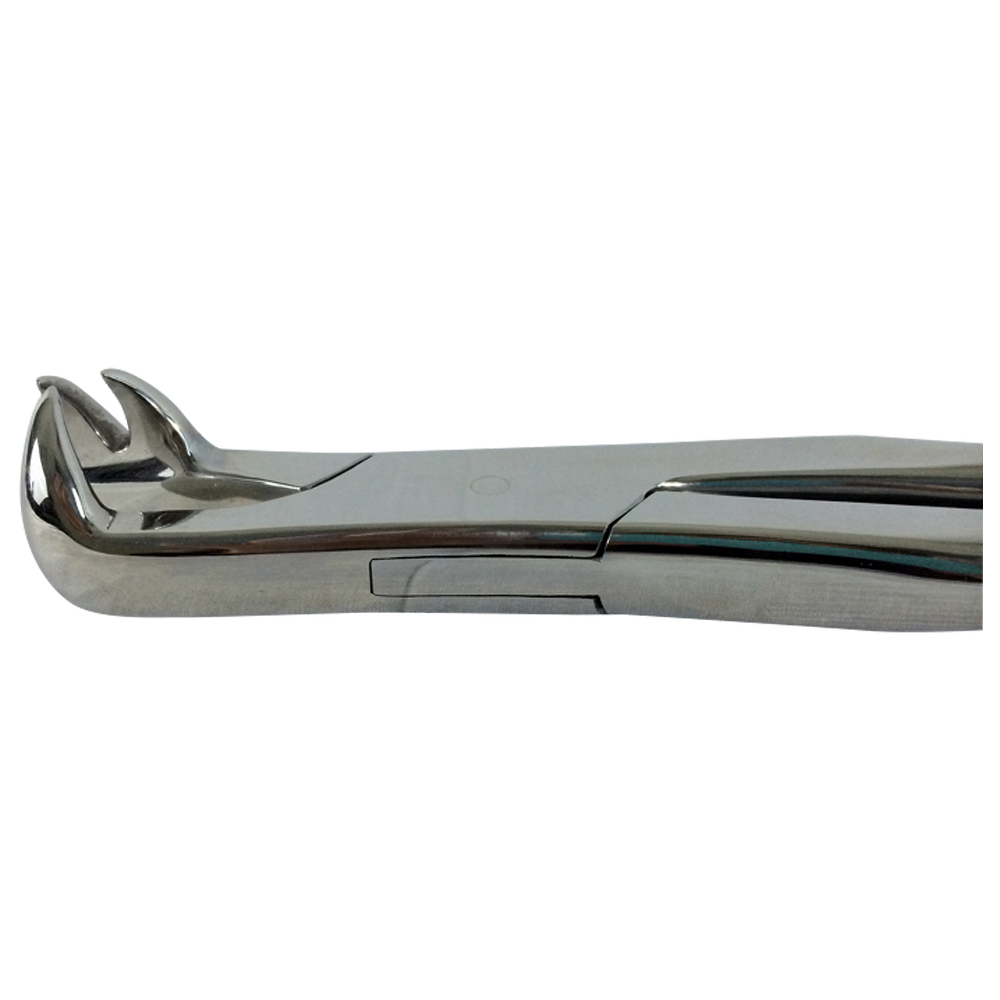 Heavy Duty Forceps